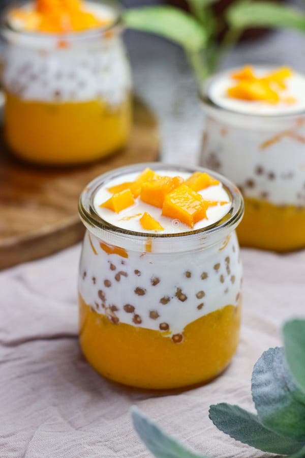 Homemade Creamy Mango Sagoo Stock Photo - Image of sagoo, snack: 277087500