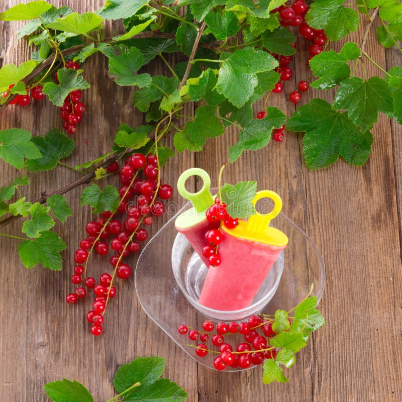 Homemade currant water ice stock image. Image of fruit - 32657165