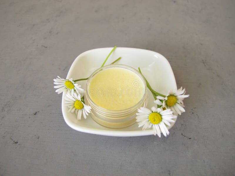 Homemade Daisy Ointment with Daisy Extract in a Jar Stock Photo - Image ...