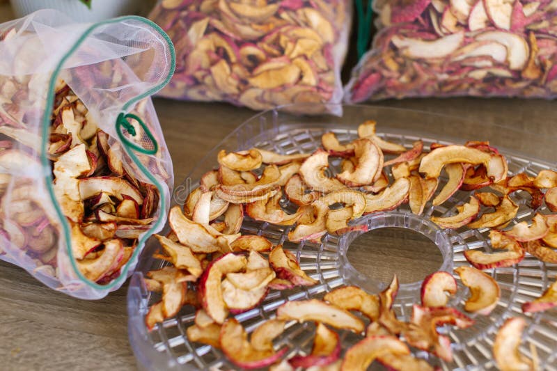 Homemade Dehydrated Apple Slices on Drying Rack Stock Image - Image of ...