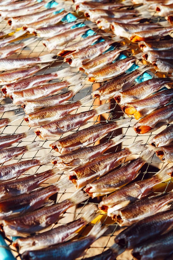 Homemade dried fish stock photo. Image of ingredient - 246302708
