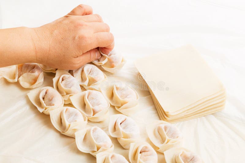 Homemade Dumpling and Raw Material Stock Photo - Image of homemade ...