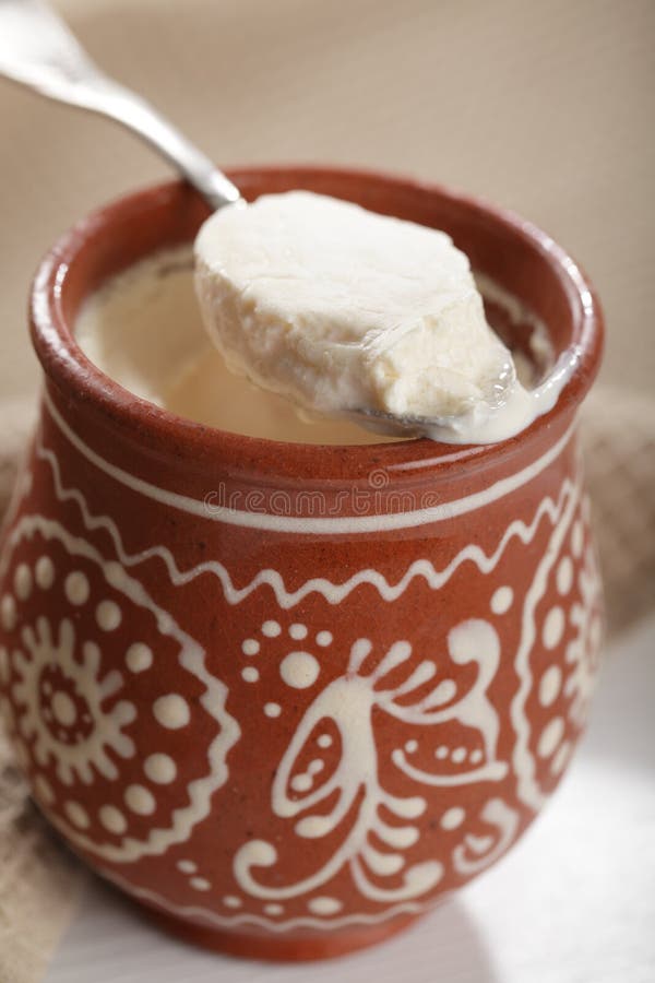 Homemade Fermented Baked Milk Stock Image - Image of organic, spoon ...
