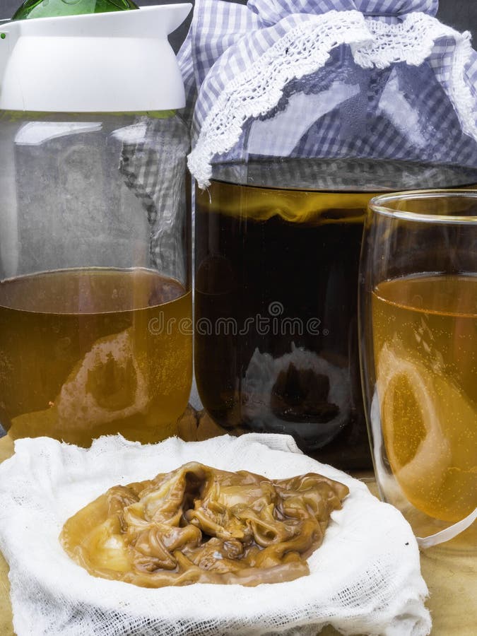 Homemade Fermented Raw Kombucha Tea Healthy Natural Probiotic Flavored