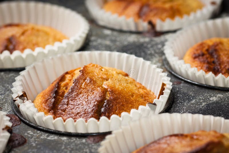 Homemade fresh muffins stock image. Image of gourmet - 23095905