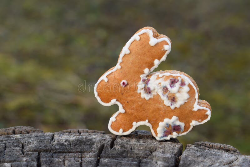 Homemade Gingerbread Cookie in a Shape of Hare Stock Photo - Image of ...