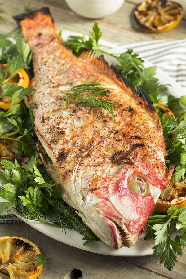 Homemade Grilled Whole Red Snapper Stock Photo - Image of fresh, meal ...