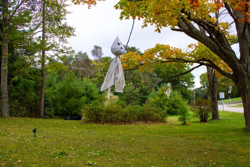 Homemade Halloween Ghost Hang Up on the Tree Stock Image - Image of ...