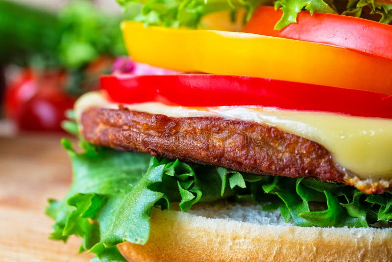 Homemade hamburger stock photo. Image of food, hamburger - 44832382
