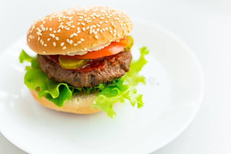 Homemade Hamburger on the Plate Stock Image - Image of food, macro ...