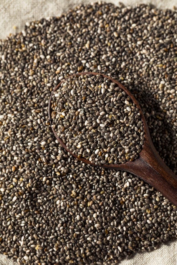 Homemade Healthy Chia Seeds Stock Photo - Image of natural, chia: 224537088