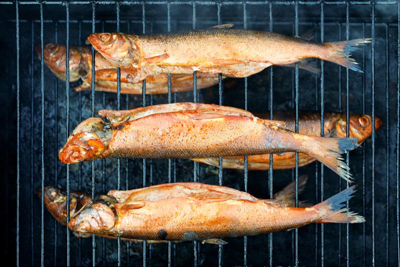 Homemade Hot Smoked Fish Process Stock Photo - Image of closeup ...