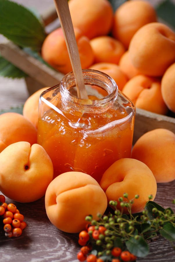Orange Jam stock photo. Image of fresh, juicy, ingredients - 18263764