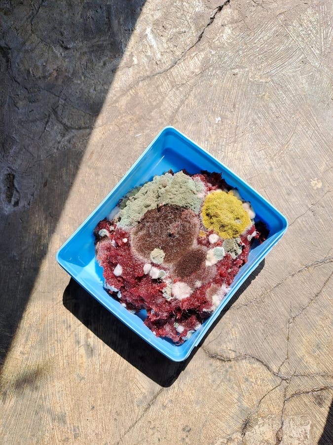 Homemade Jam Affected by Mold Stock Image - Image of affected, rotten ...