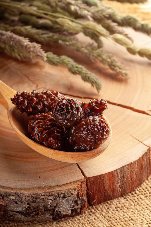 Homemade Jam from Pine Cones Stock Image - Image of health, homemade ...
