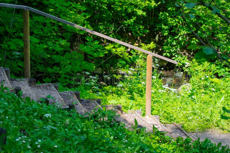 Homemade Ladder for Descending a Steep Slope in the Forest. Stock Photo ...