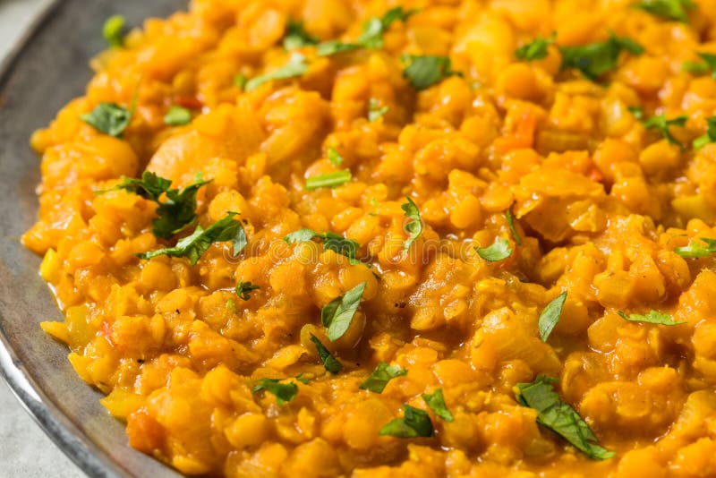 Homemade Lentil Dal with Rice Stock Image - Image of vegetarian ...
