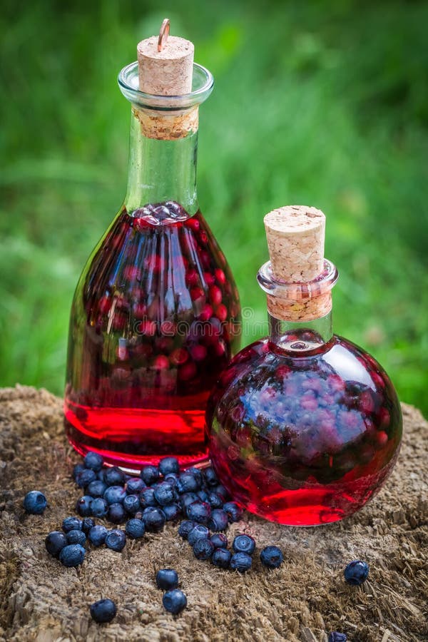 Homemade Liqueur in a Bottle with Blueberries and Alcohol Stock Image ...