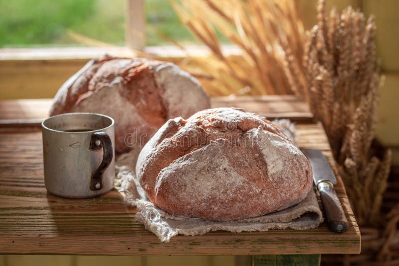 Homemade Loaf of Bread in Spring Sunny Kitchen Stock Image - Image of ...