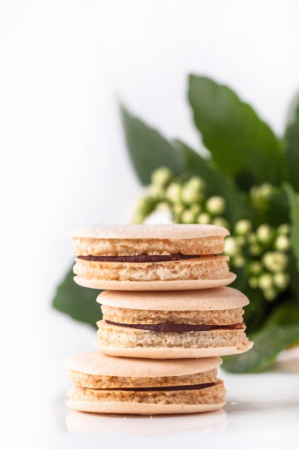 Homemade Macaroons with Flowers Stock Image - Image of french ...