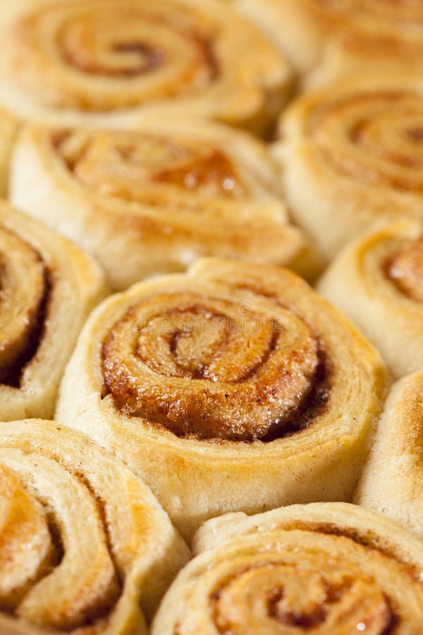 Homemade Mini Cinnamon Rolls Stock Photo - Image of pastry, bakery ...