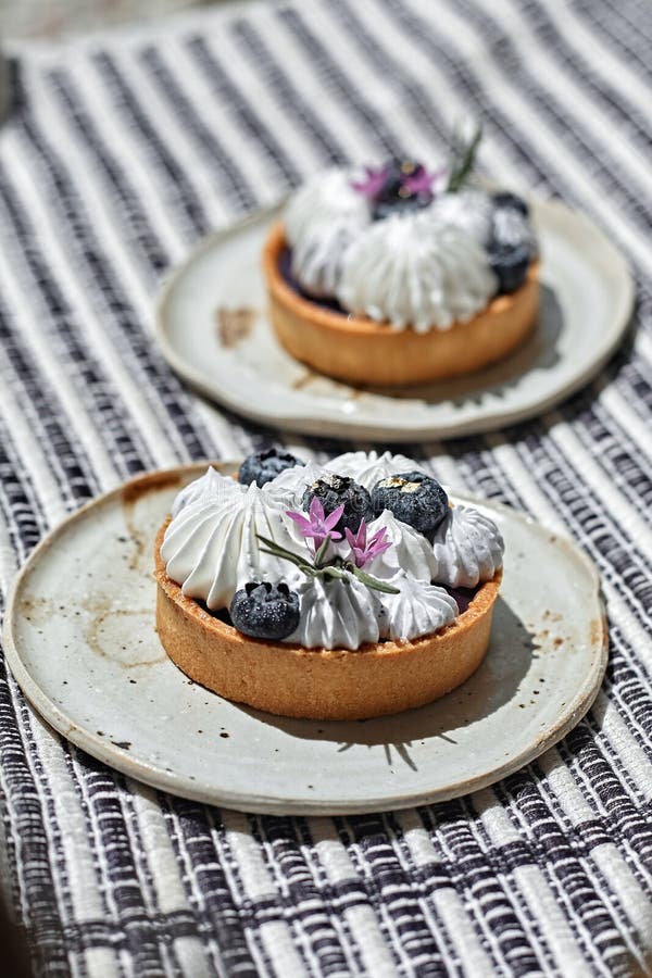 Homemade Mini Tart with Blueberries Stock Image - Image of delicious ...