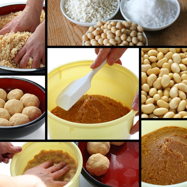 Homemade Miso Making Process Stock Image - Image of japan, miso: 26478007