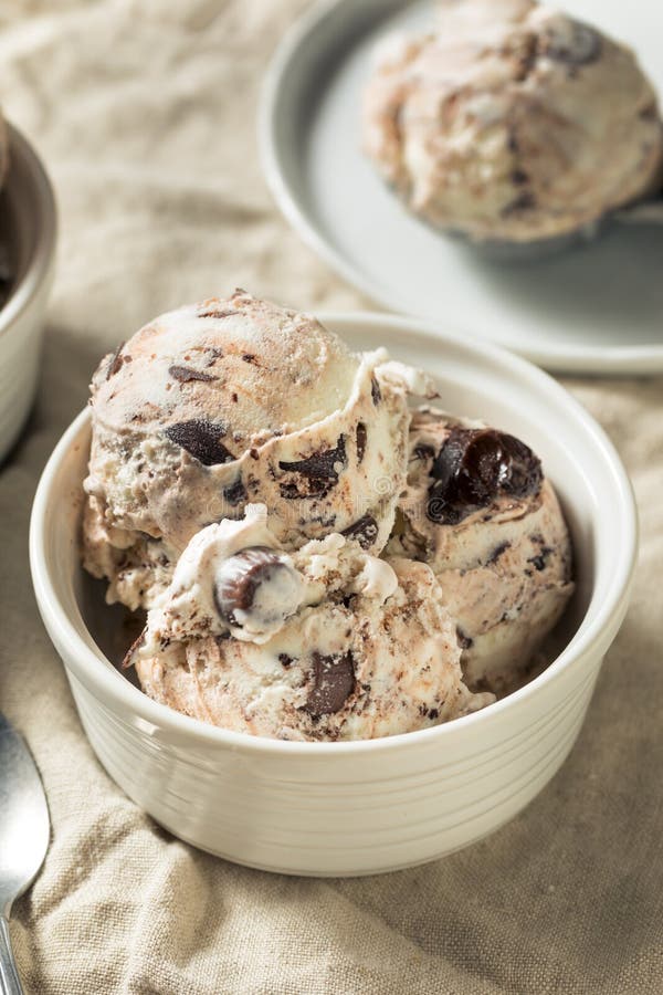 Homemade Moose Tracks Ice Cream Stock Photo - Image of brown, delicious ...