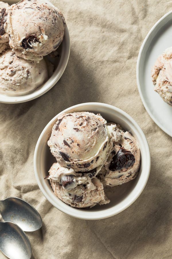 Homemade Moose Tracks Ice Cream Stock Image - Image of track, chocolate ...