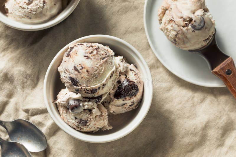 Homemade Moose Tracks Ice Cream Stock Image - Image of creamy, tracks ...