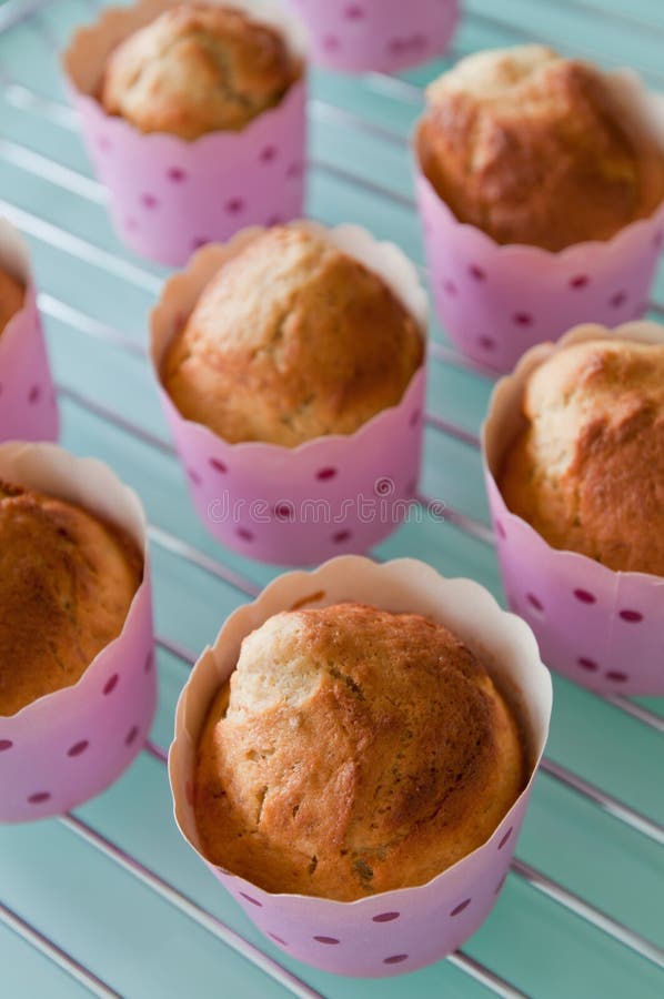 Homemade muffin stock image. Image of golden, plate, food - 15758633