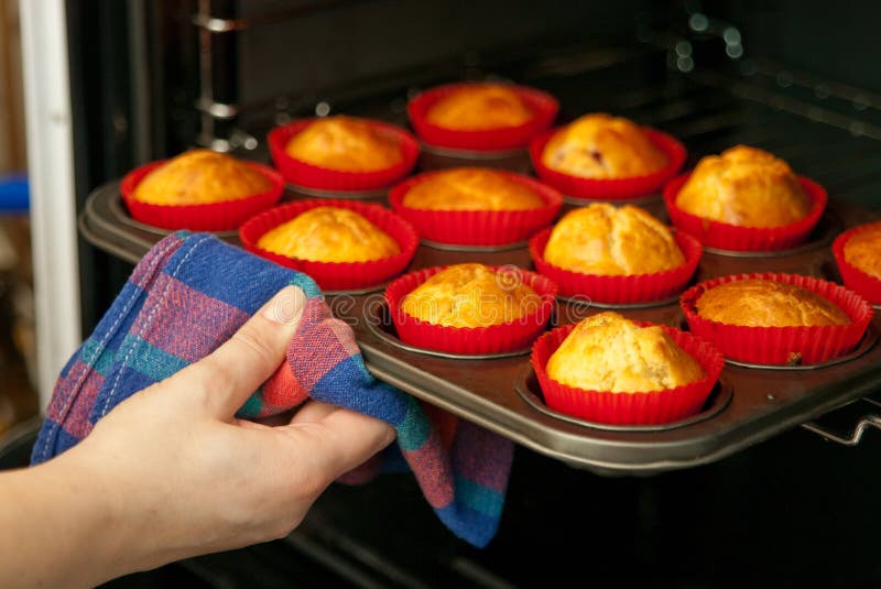 Homemade muffins stock image. Image of muffin, woman - 18941653
