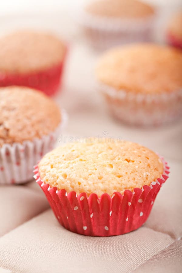 Homemade muffins stock image. Image of home, stack, food - 28561889
