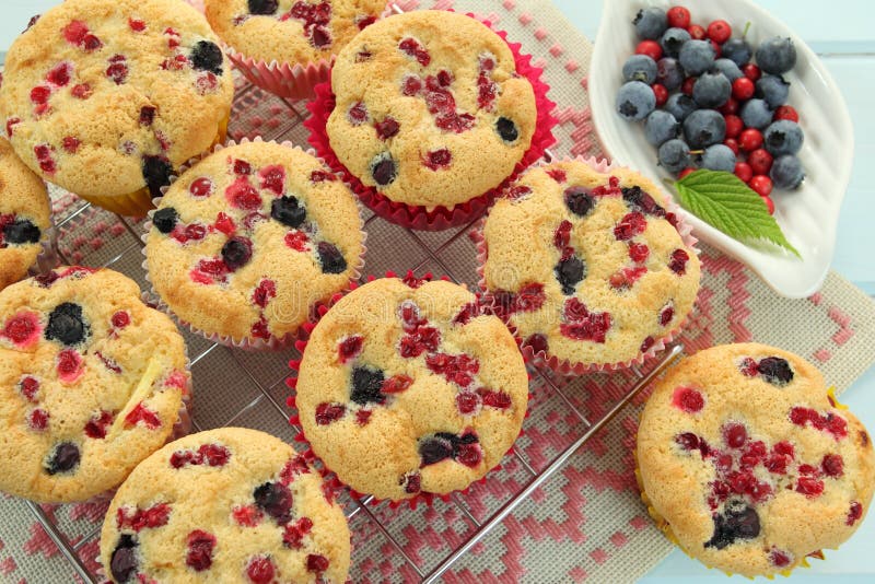 Homemade muffins stock photo. Image of fruit, cranberries - 38572918