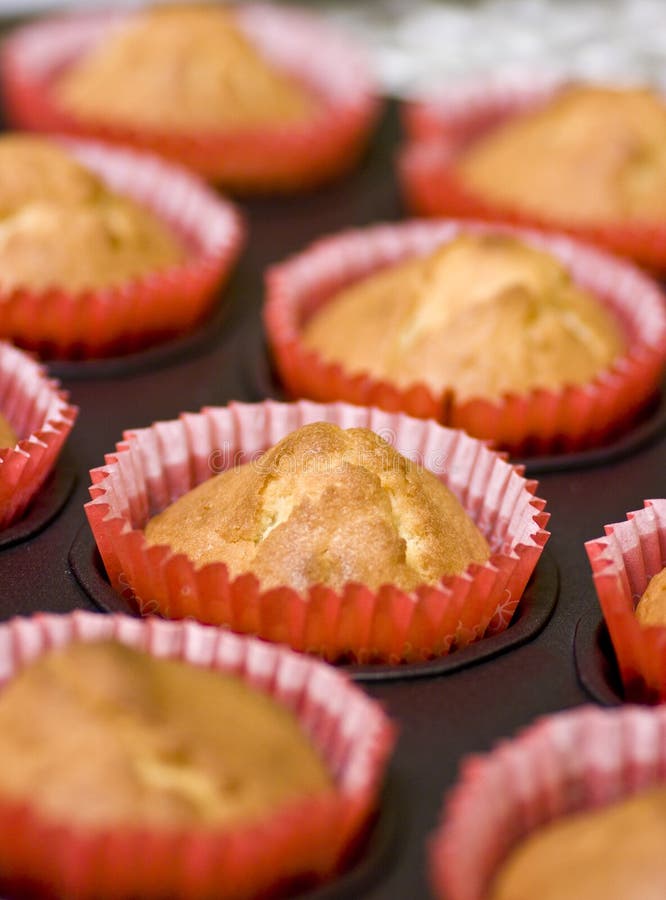 Homemade muffins stock image. Image of muffin, woman - 18941653