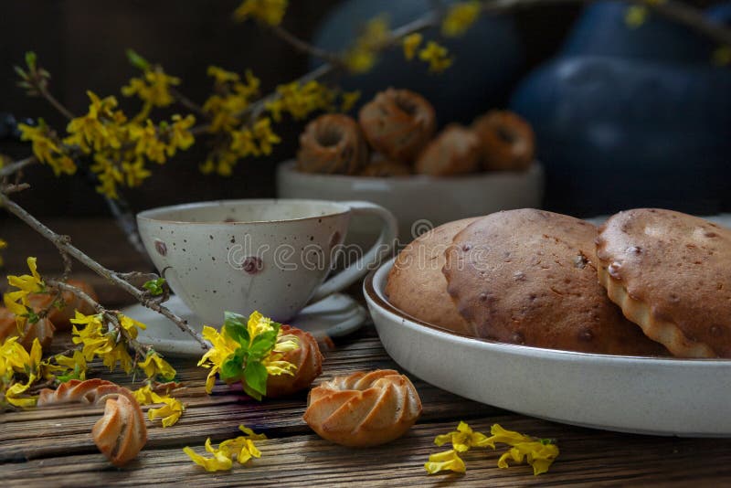 Homemade Oat Cake (no Fat, No Dairy, No Eggs, Sugar Free Stock Photo ...
