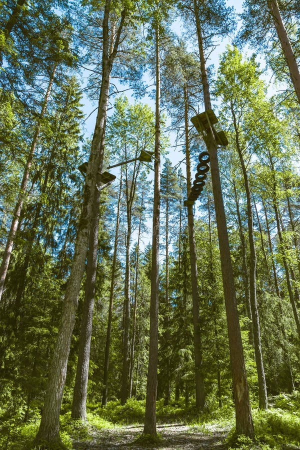 Homemade Obstacle Course in the Forest Stock Photo - Image of tree ...