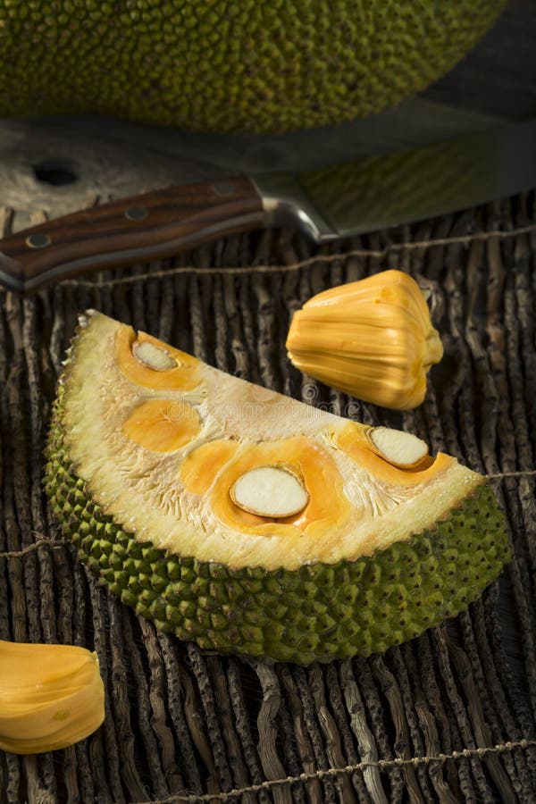 Homemade Organic Fresh Jackfruit Stock Image - Image of heterophyllus ...