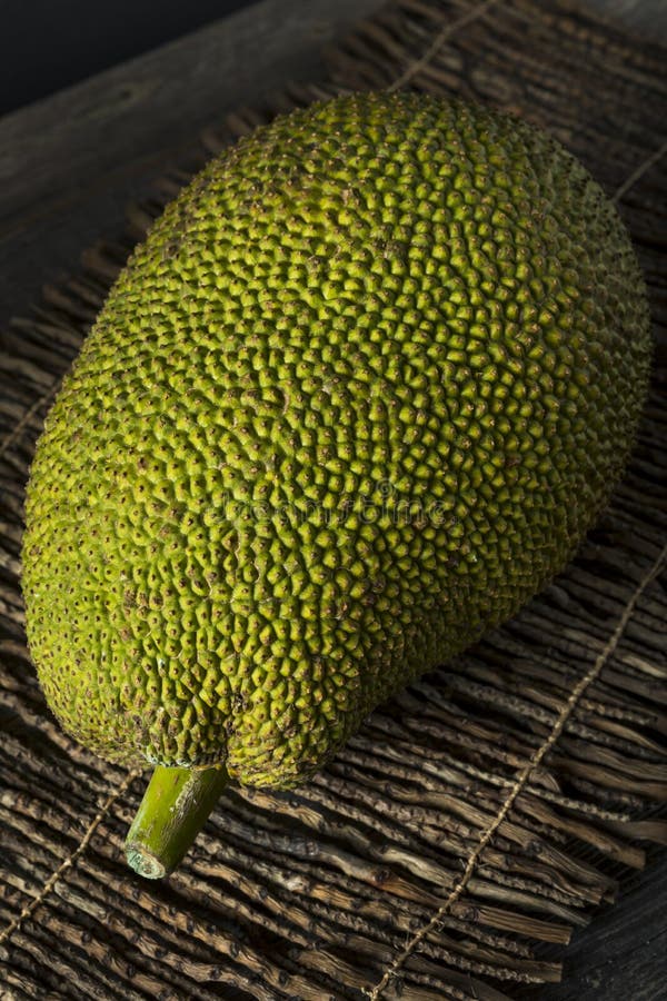 Homemade Organic Fresh Jackfruit Stock Photo - Image of fresh, seed ...