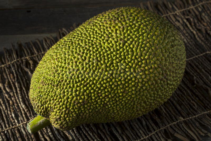 Homemade Organic Fresh Jackfruit Stock Image - Image of fruit, organic ...