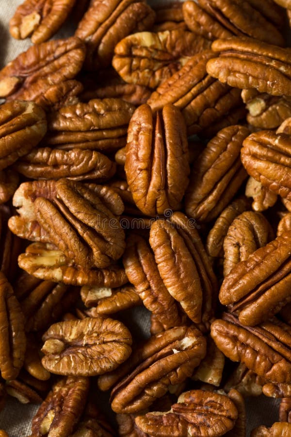 Homemade Organic Shelled Pecans Stock Photo - Image of organic ...