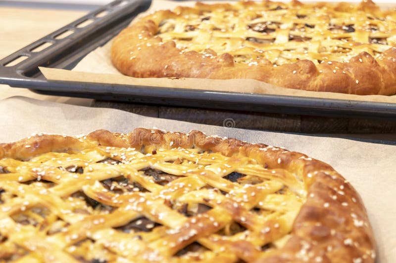 Homemade Pie, Baked Pie, Home Baking Concept Stock Image - Image of ...