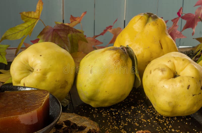 Membrillo Fruits Stock Photos - Free & Royalty-Free Stock Photos from ...