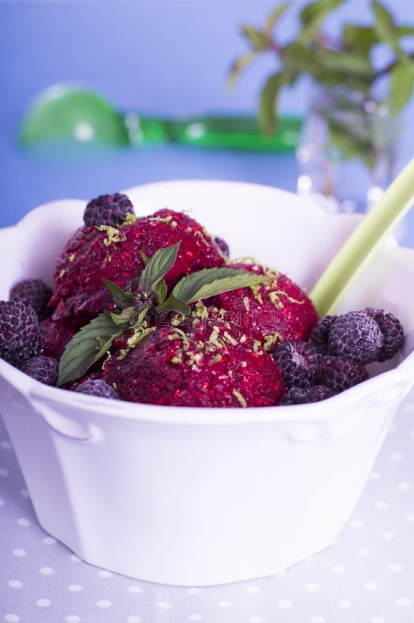 Homemade raspberry sorbet stock photo. Image of healthy - 58586308