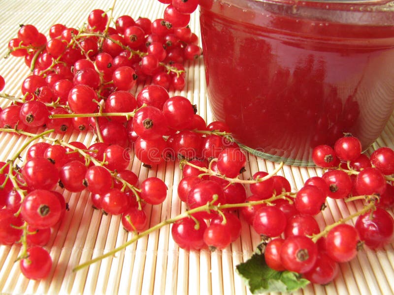 Homemade red currant jam stock image. Image of preserve - 16077751