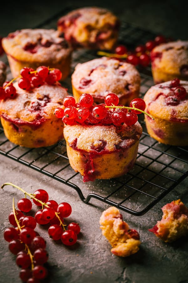Homemade Red Currant Muffins Stock Image - Image of cookie, kitchen ...