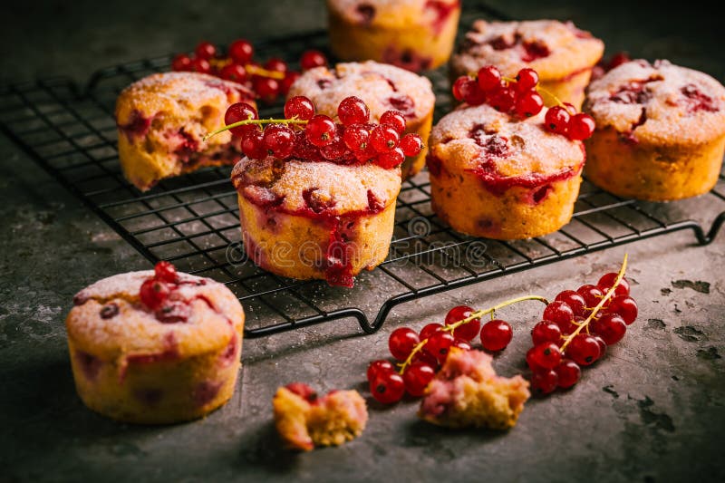 Homemade Red Currant Muffins Stock Image - Image of baking, gourmet ...