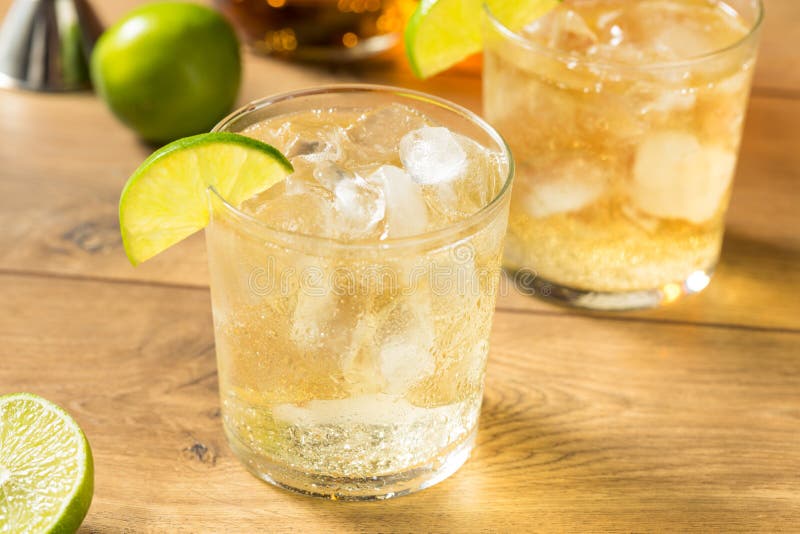 Homemade Rum and Tonic Cocktail Stock Photo - Image of cool, summer ...