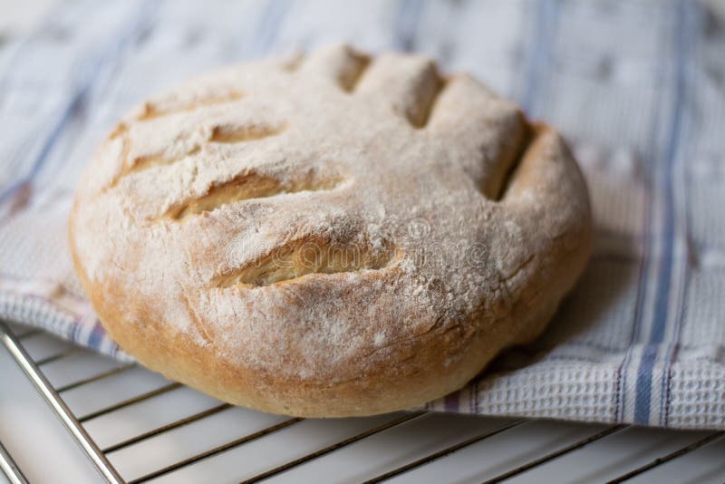 Homemade Sourdough Bread with a Leaf Pattern Scored on Stock Image ...