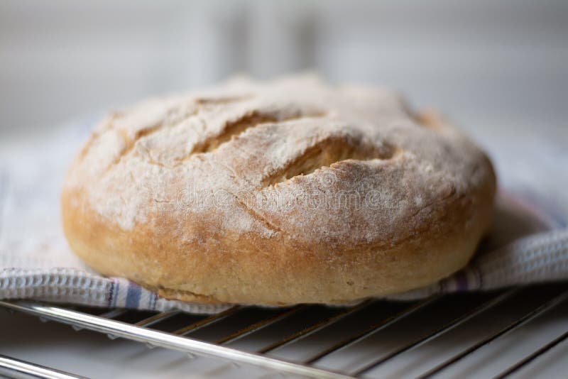 Homemade Sourdough Bread with a Leaf Pattern Scored on Stock Photo ...